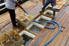 Floating Upweller System (FLUPSY) Made for Oyster Aquaculture Farming