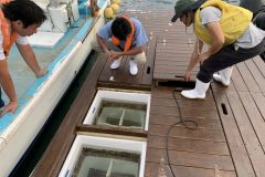 Floating Upweller System (FLUPSY) Made for Oyster Aquaculture Farming