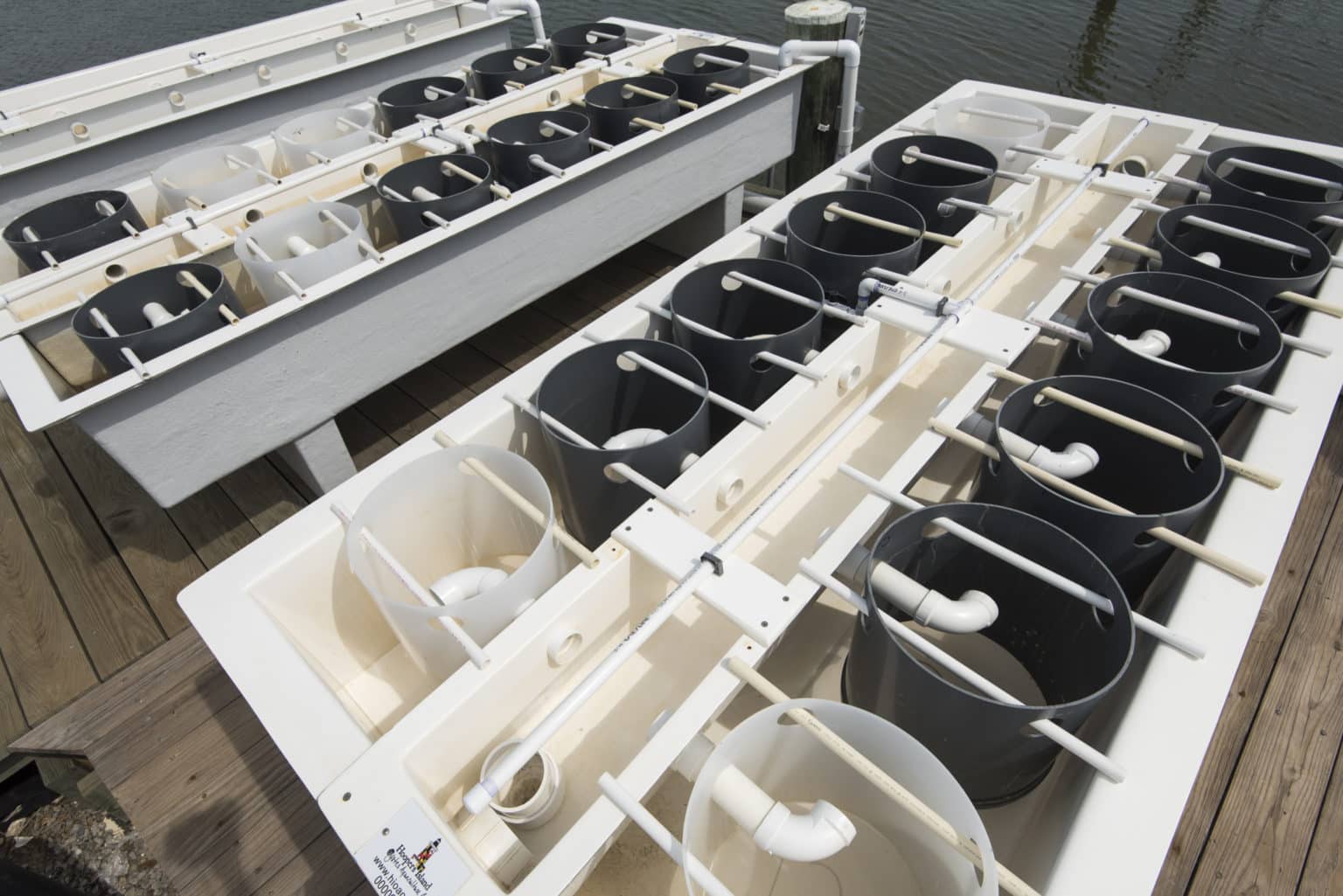 Upweller · Hoopers Island